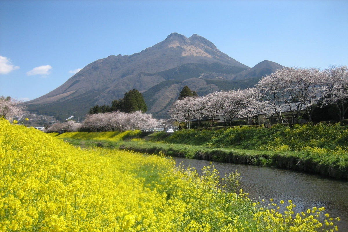 Yufuin Travel Guide - Best Destinations, Hot Springs, Art, And Food ...